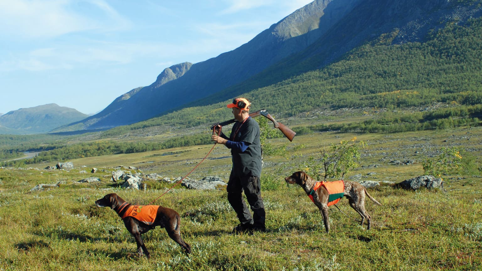 Planera fjälljakten i god tid - Jakt & Jägare