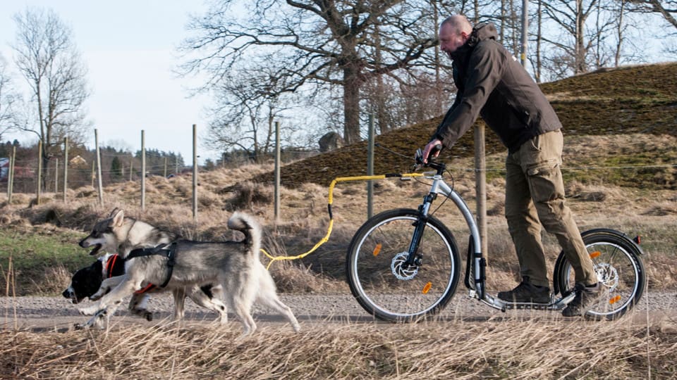 Träna med kickbike - Jakt & Jägare
