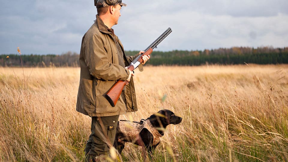 Jakthundarnas topplista - Jakt & Jägare