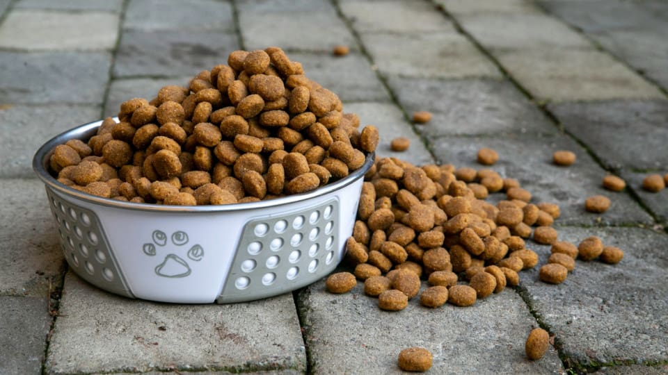 Hundfoder behöver inte vara krångligt - Jakt & Jägare