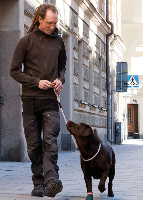 Välkommen till Hundskolan! - Jakt & Jägare