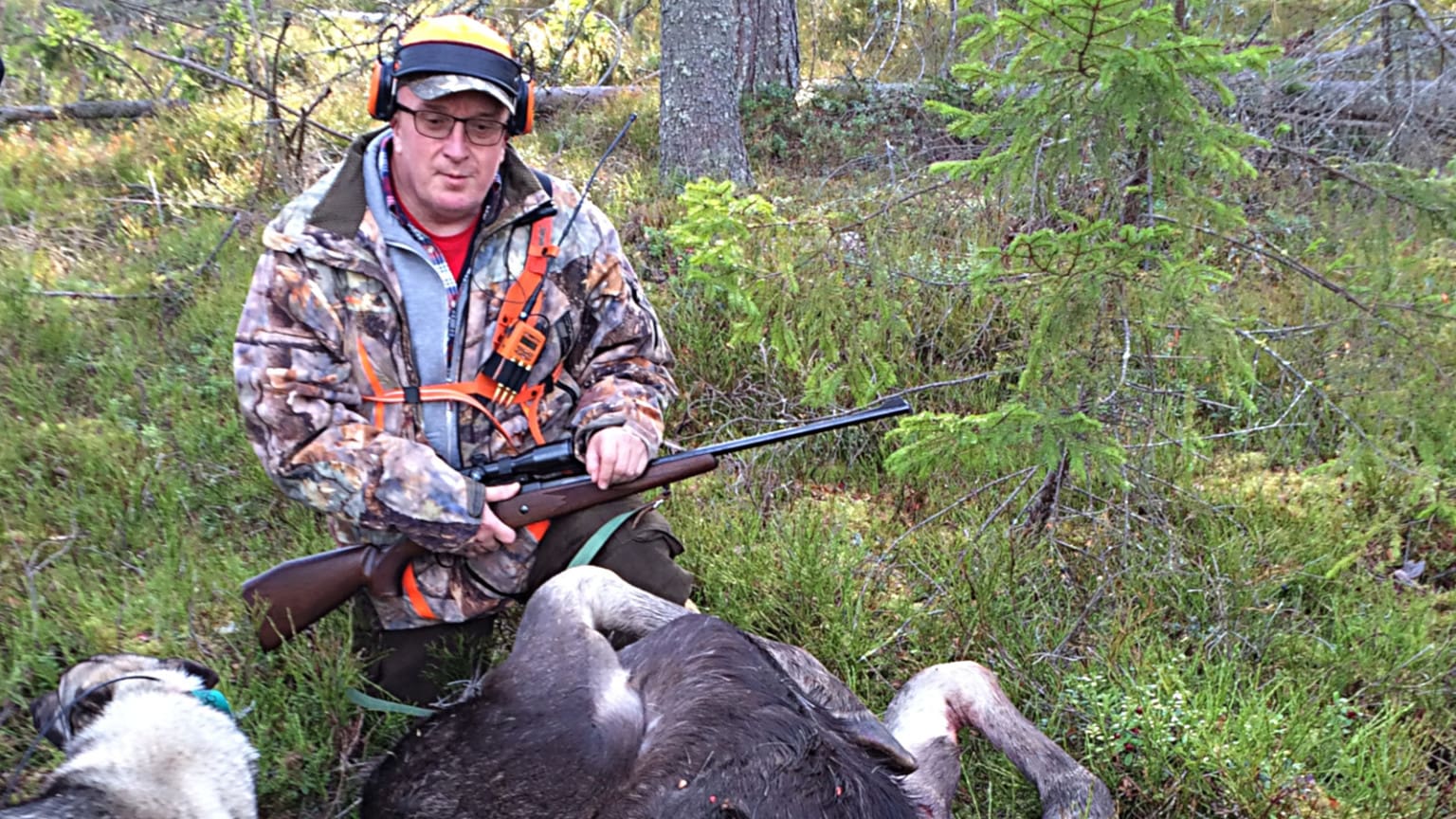 Dags för älgjakt i norr - Jakt & Jägare