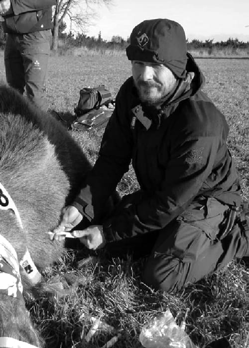 Därför minskar älgstammen - Jakt & Jägare