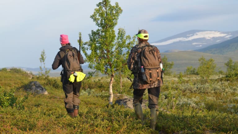 Teknikstrul drabbade småviltsjägare i Jämtland - Jakt & Jägare