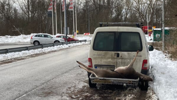 KRÖNIKA: Värna jaktetiken - Jakt & Jägare