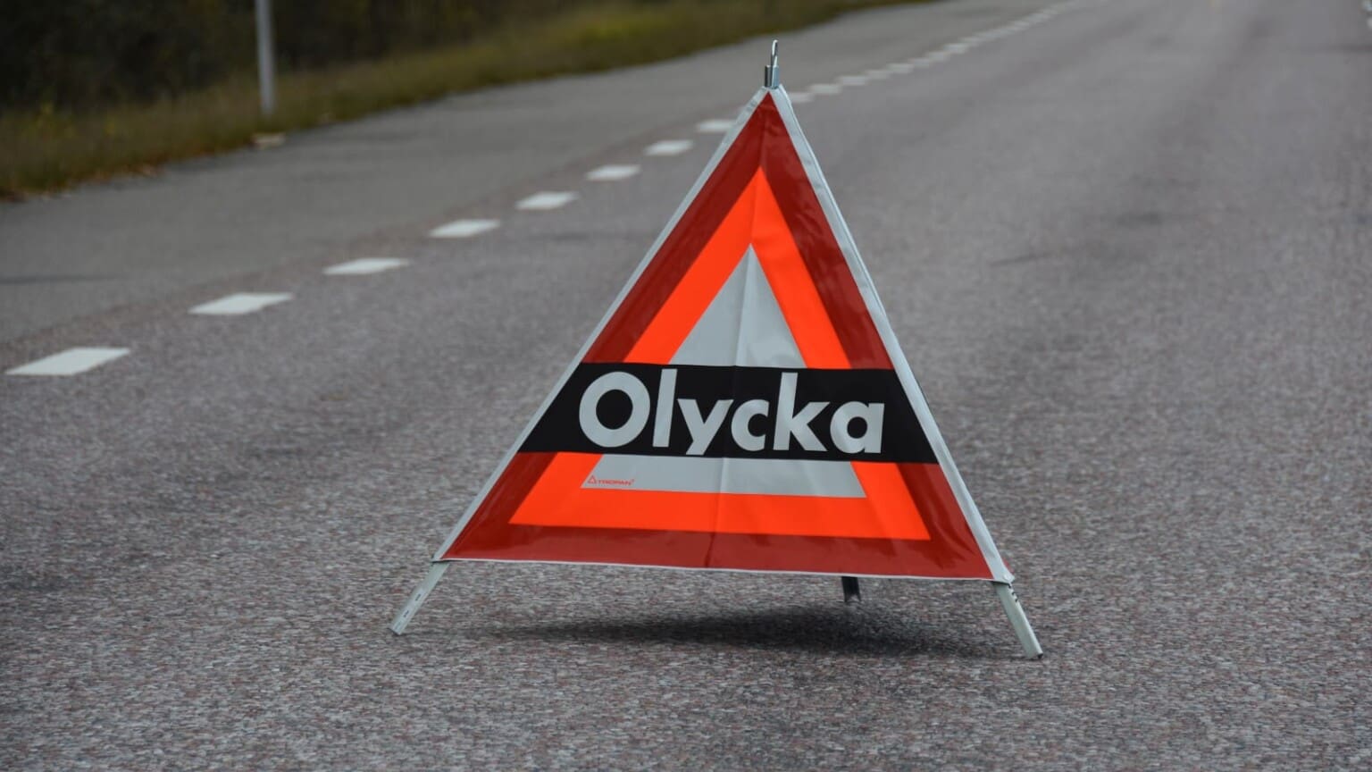 Enklare och snabbare att anmäla viltolyckor - Jakt & Jägare