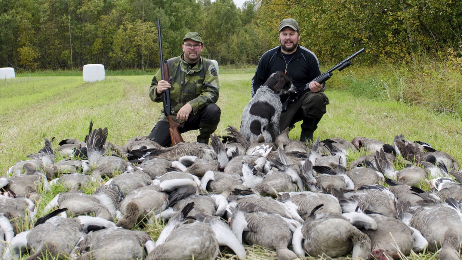 Så hittar du jakt - Jakt & Jägare