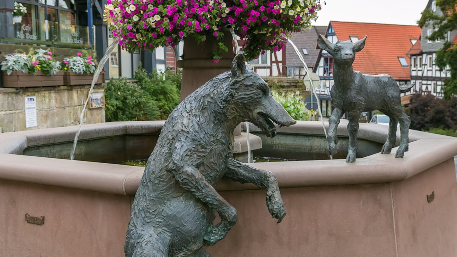 Tyskland kan öppna för jakt på varg – bevarandestatus bedöms som god ...